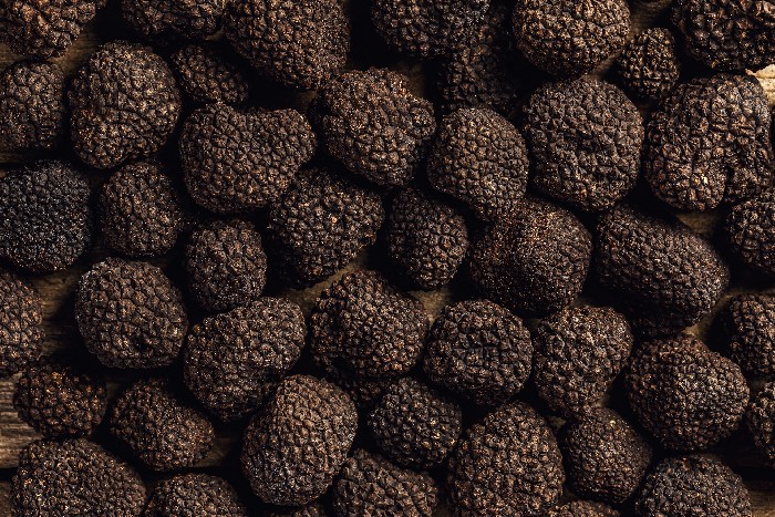 TRUFFES :: Le Mazet